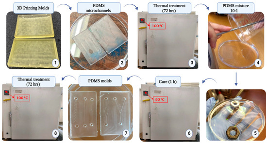 Polymers | Free Full-Text | Polydimethylsiloxane Surface Modification ...
