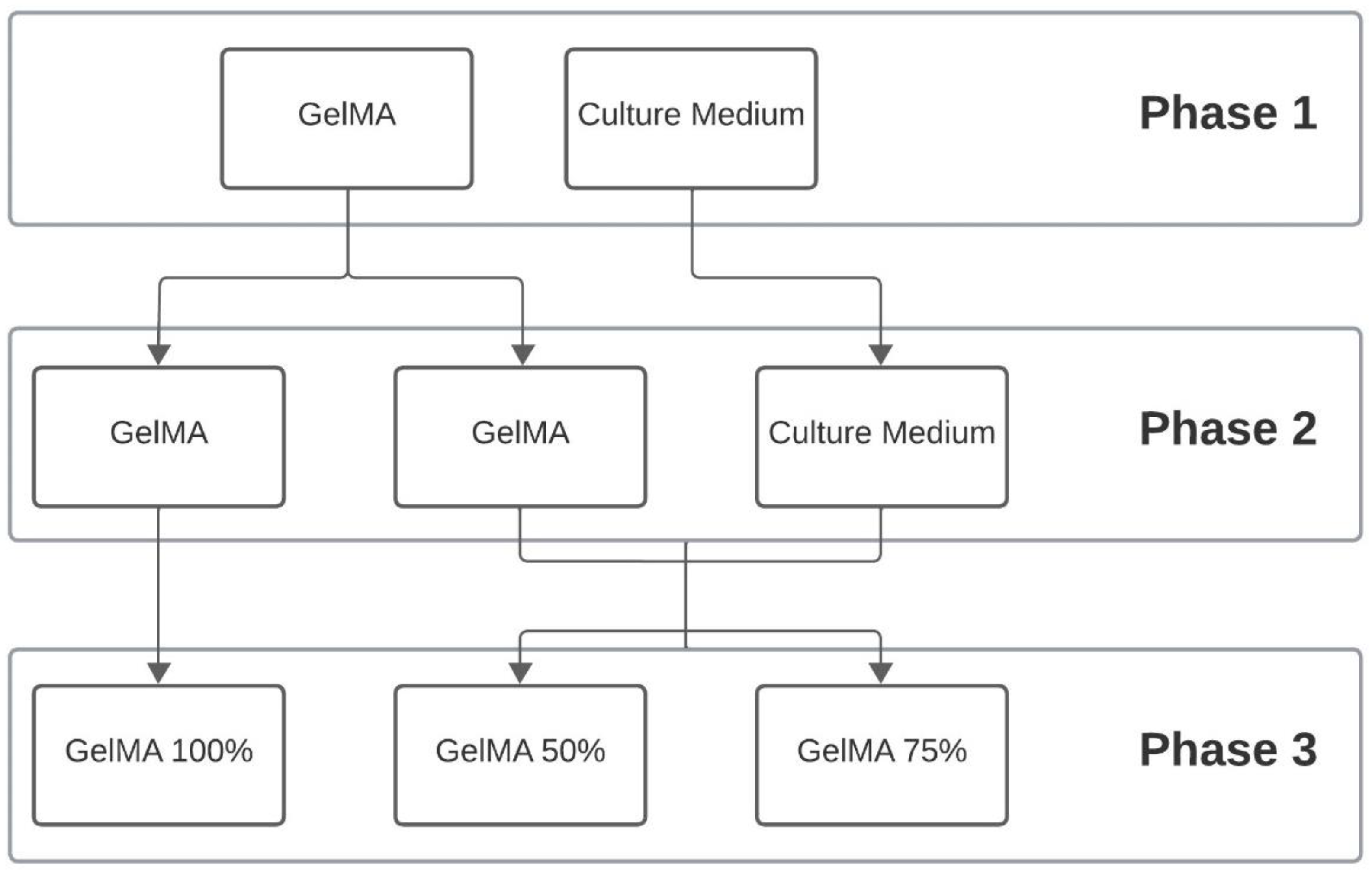 Three-Dimensional Bioprinting of GelMA Hydrogels with Culture Medium: Balancing Printability ...