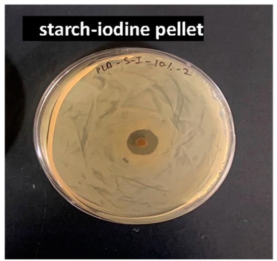 Antimicrobial Solid Starch–Iodine Complex via Reactive Extrusion and ...