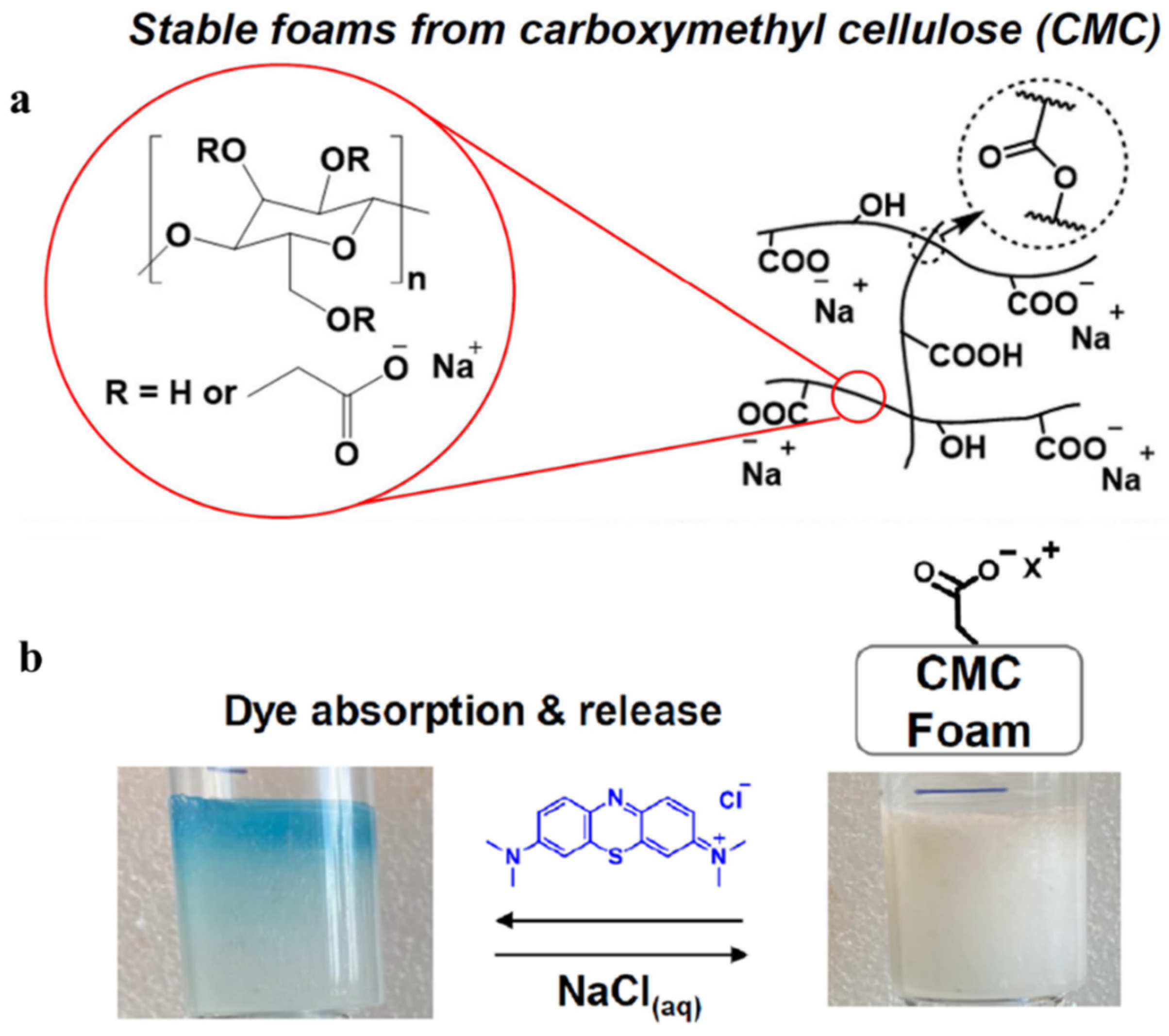 Recent Advances in Porous Bio-Polymer Composites for the Remediation of ...