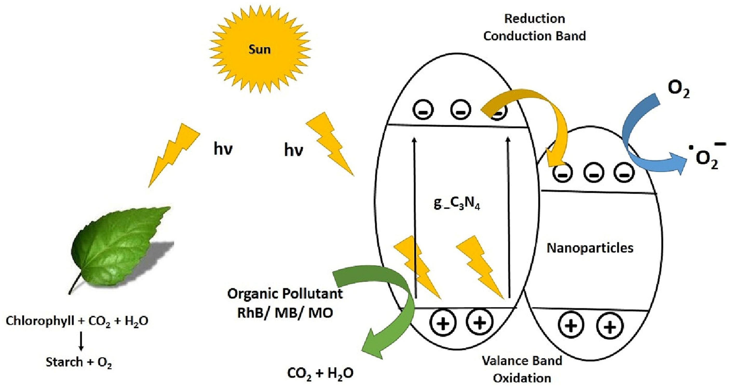 Recent Advances in Porous Bio-Polymer Composites for the Remediation of ...