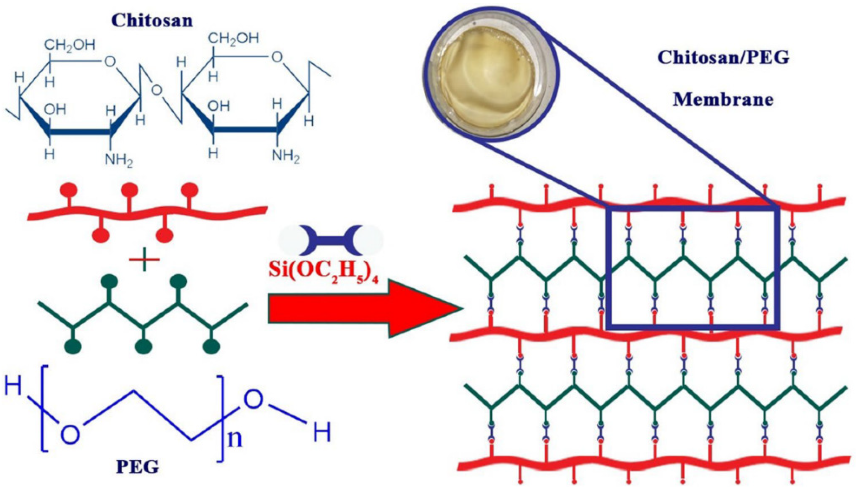 Recent Advances in Porous Bio-Polymer Composites for the Remediation of ...
