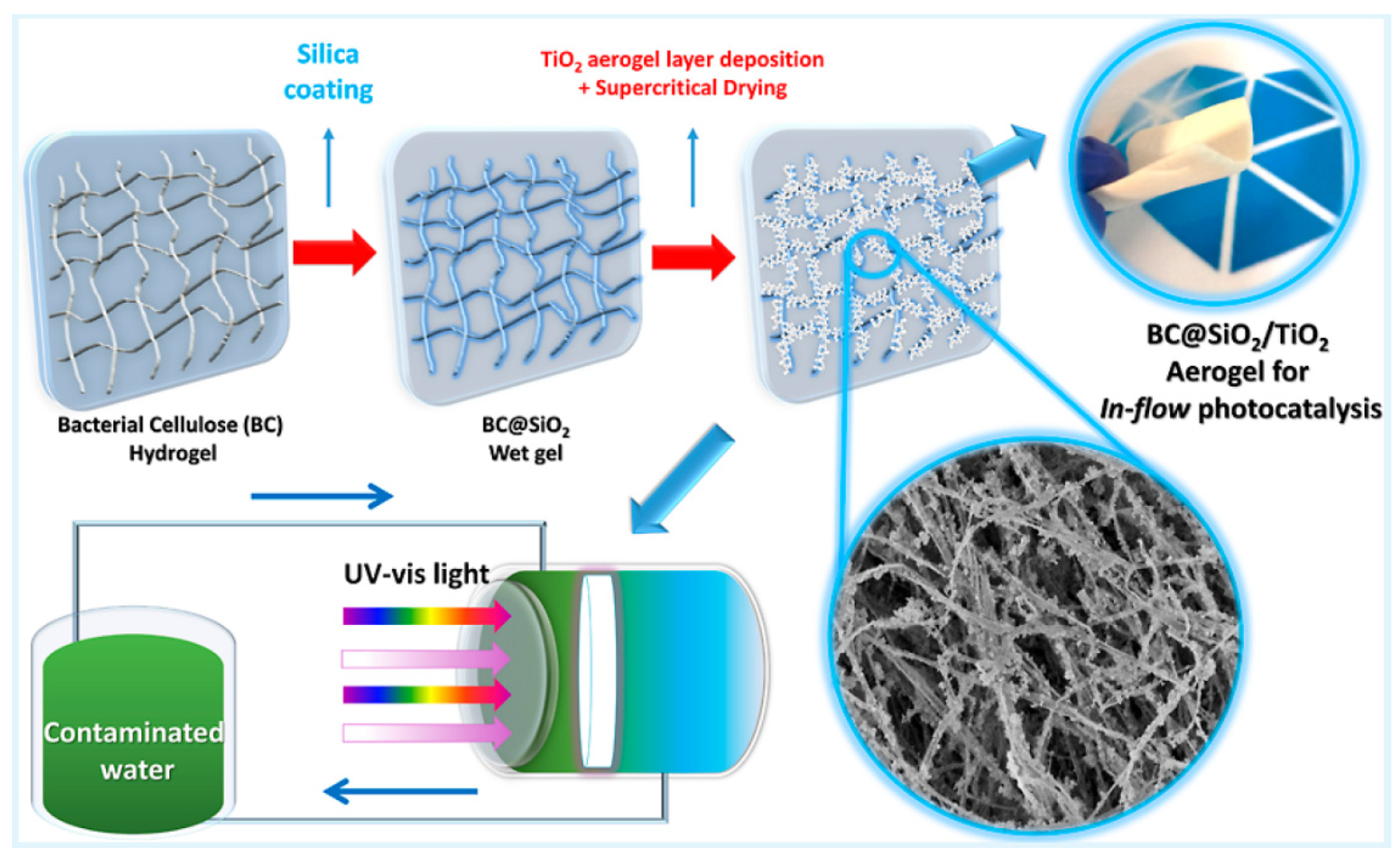 Recent Advances in Porous Bio-Polymer Composites for the Remediation of ...