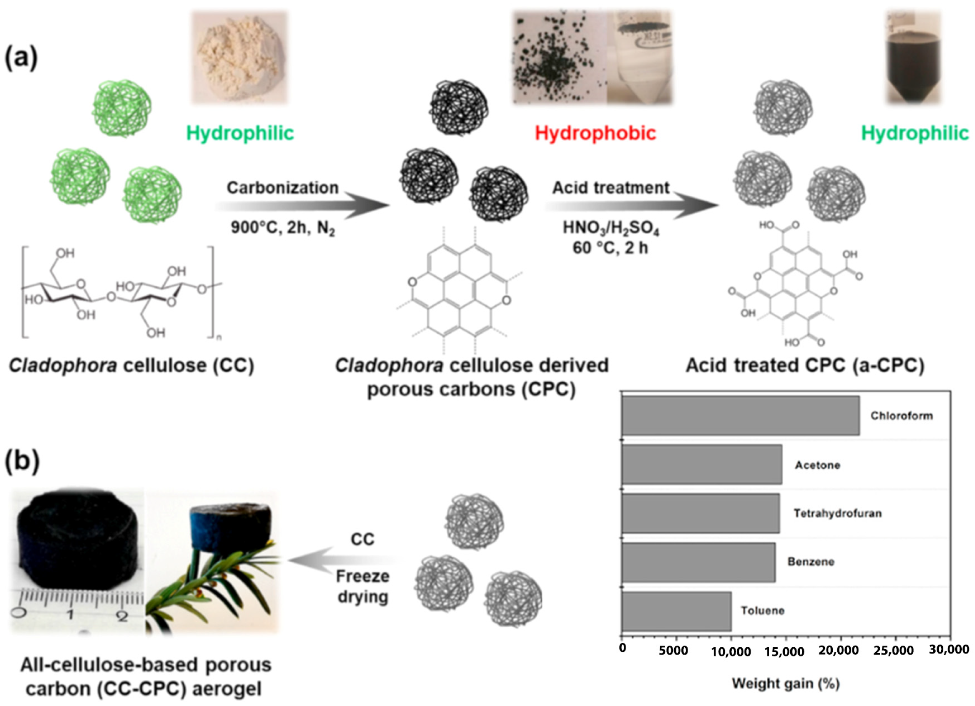 Recent Advances in Porous Bio-Polymer Composites for the Remediation of ...
