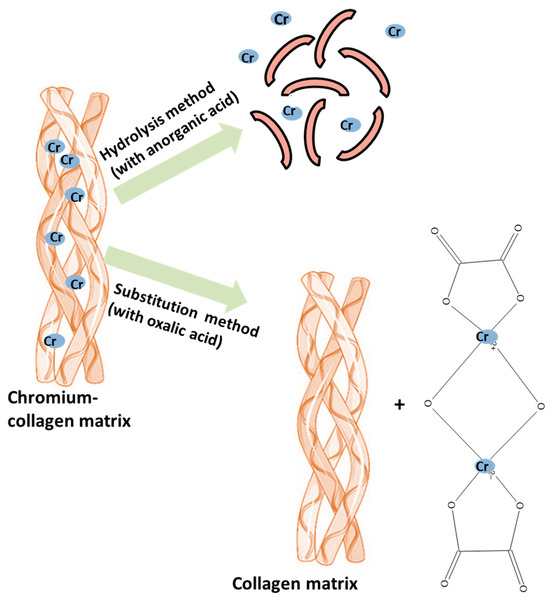 Depollution of Polymeric Leather Waste by Applying the Most Current Methods of Chromium Extraction
