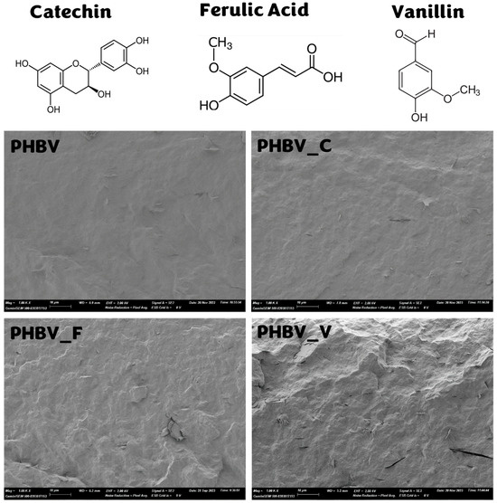 Active Poly(3-hydroxybutyrate-co-3-hydroxyvalerate) (PHBV) Films ...