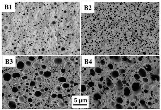 Polymers | Free Full-Text | Preparation and Properties of PA10T/PPO Blends Compatibilized with ...