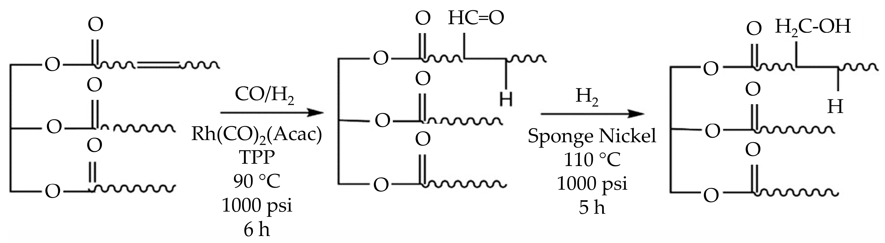 Polymers | Free Full-Text | Eco-Friendly and High-Performance Bio ...