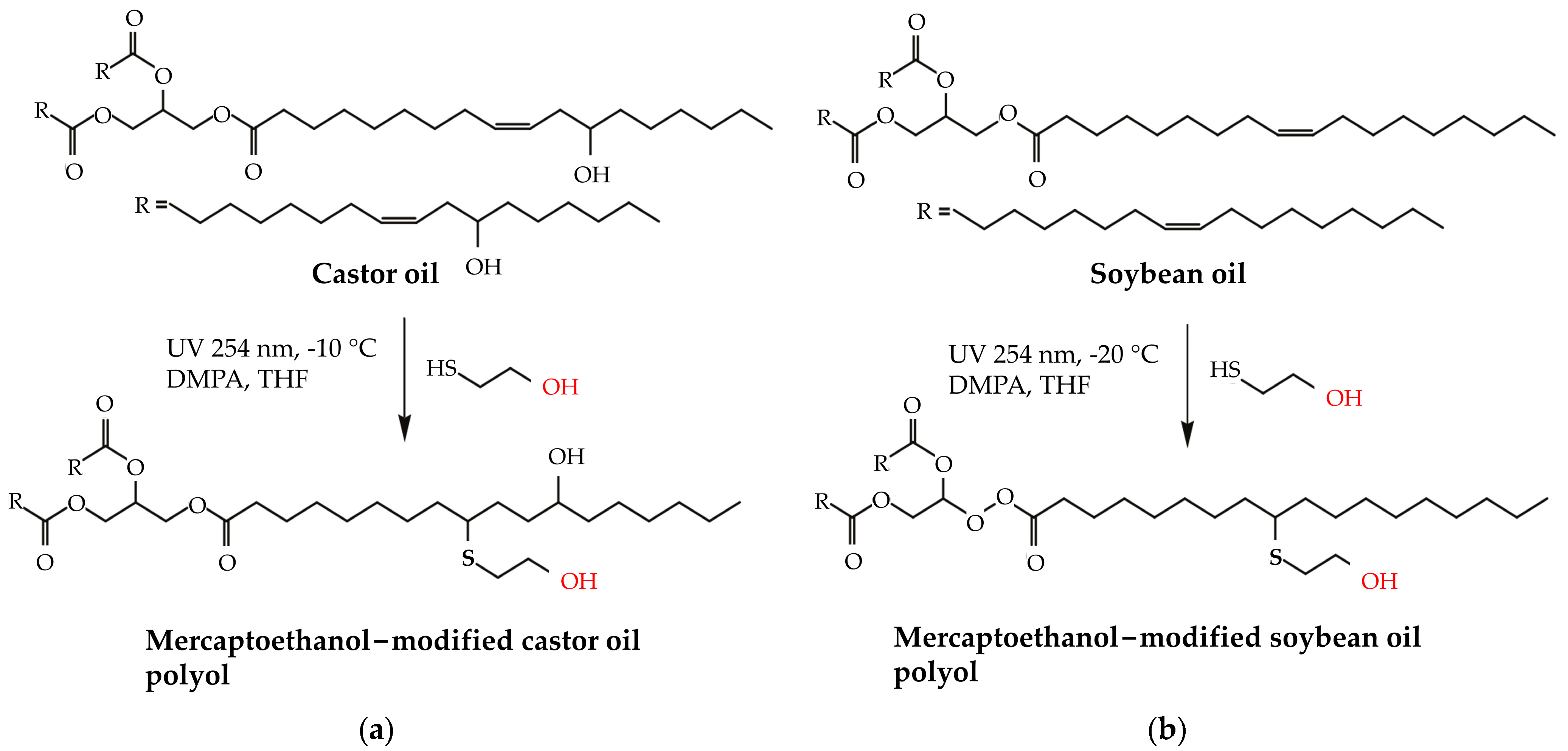 Polymers | Free Full-Text | Eco-Friendly and High-Performance Bio ...