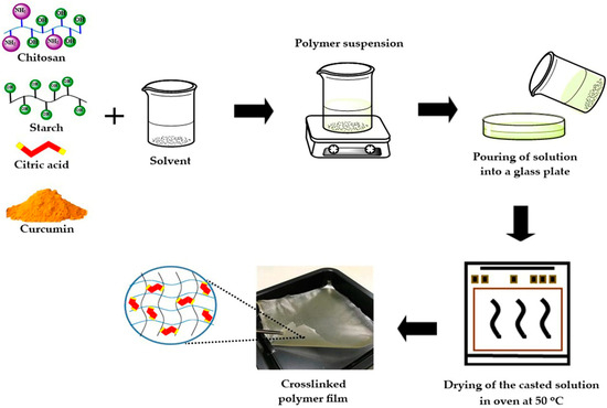 Influence of Crosslinking Concentration on the Properties of ...