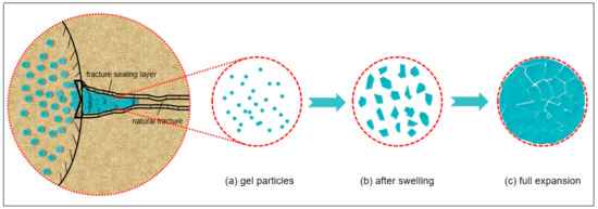 Synthesis and Evaluation of Plugging Gel Resistant to 140 °C for Lost ...
