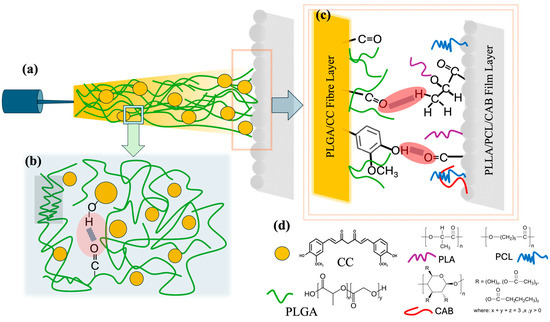 Bilayer Scaffolds of PLLA/PCL/CAB Ternary Blend Films and Curcumin ...