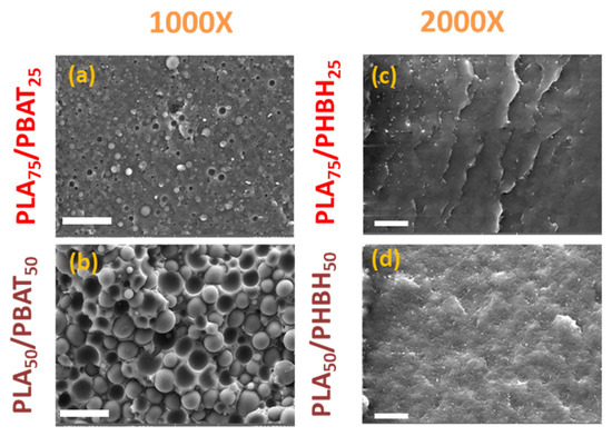 Tuning the Structure–Property Relationships in Binary and Ternary ...