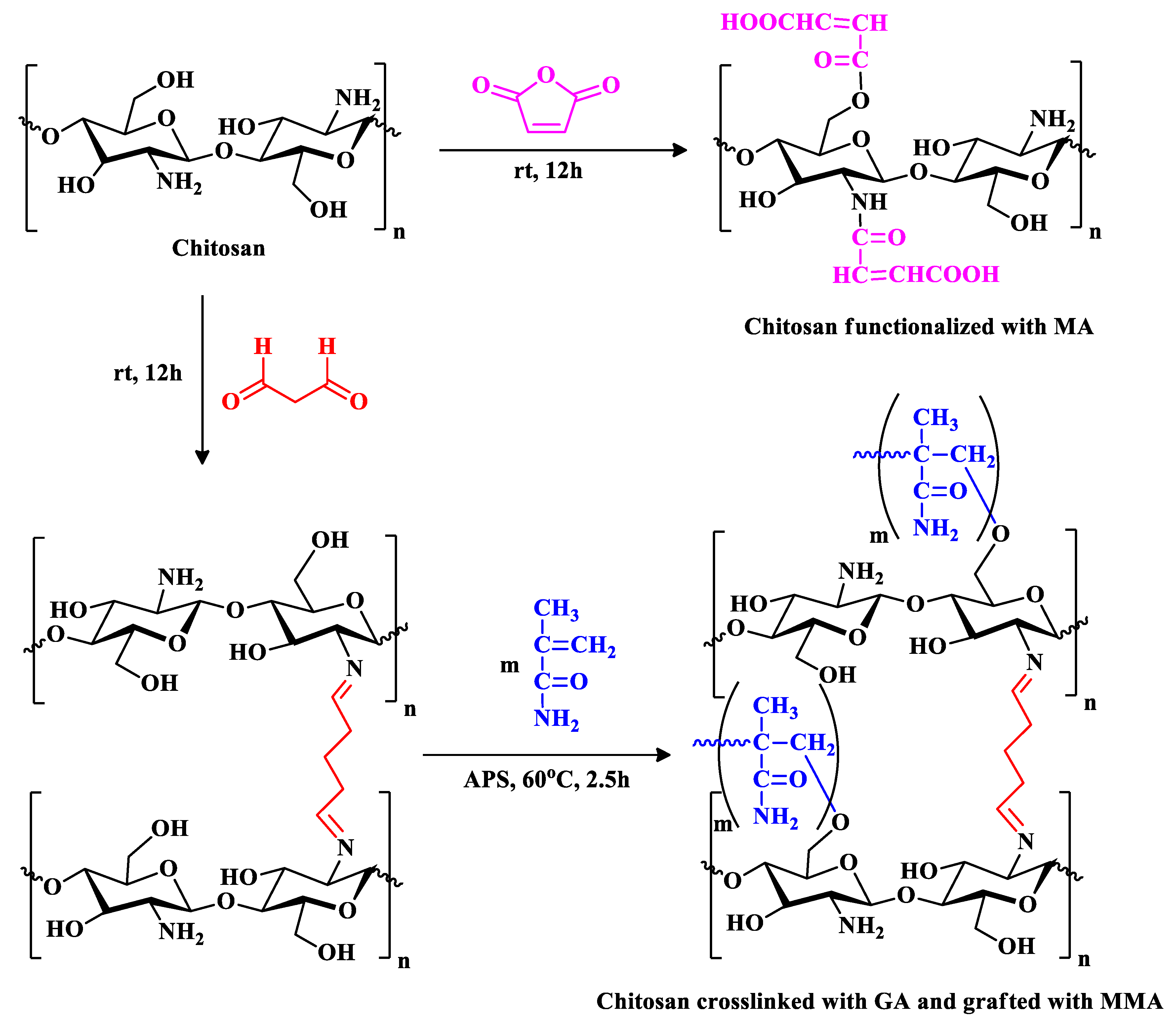 Polymers | Free Full-Text | Novel High-Performance Functionalized and Grafted Bio-Based Chitosan ...