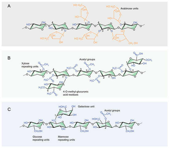 Polymers | Free Full-Text | Valorization of Grain and Oil By-Products with Special Focus on ...