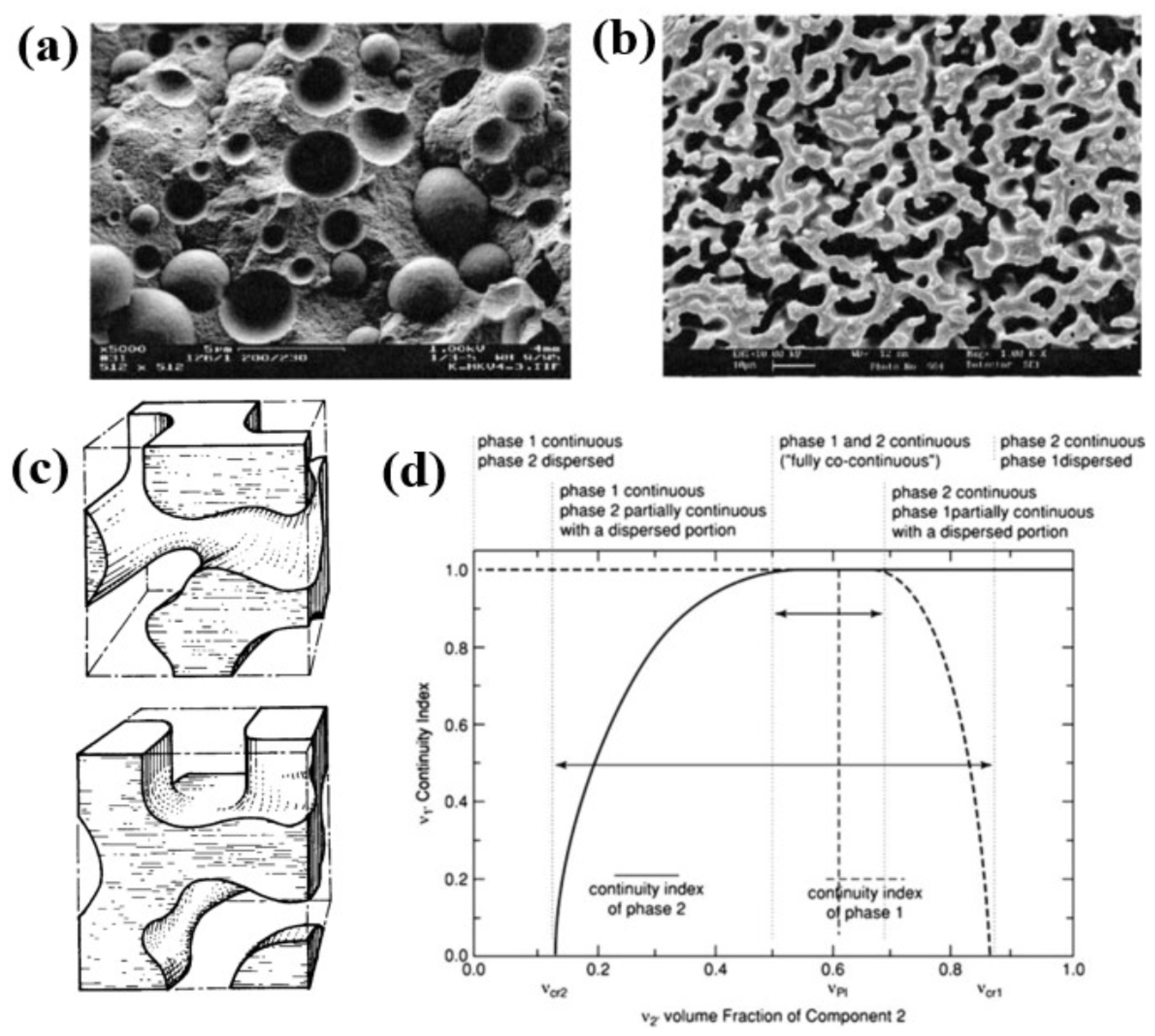 Polymers | Free Full-Text | Morphologies, Compatibilization and ...