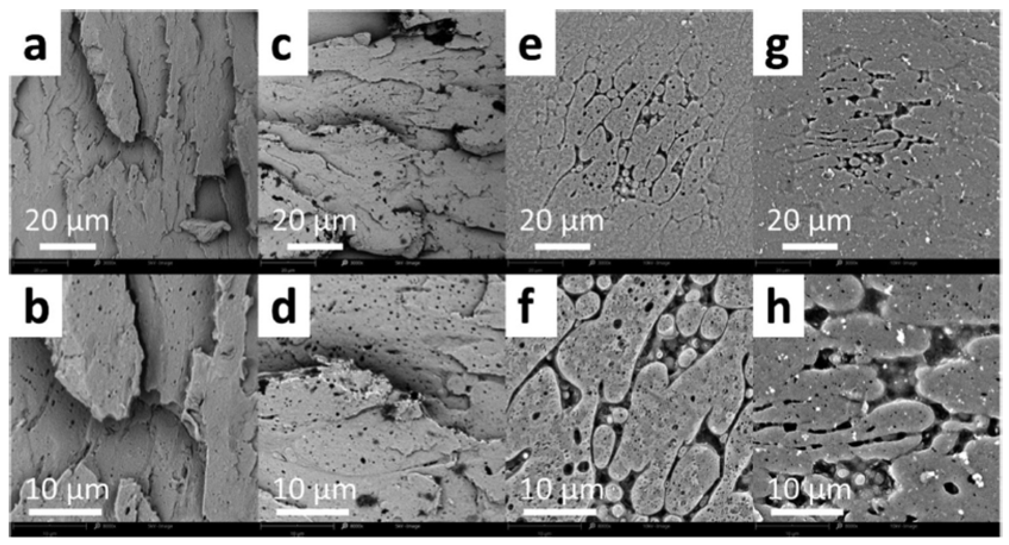 Polymers | Free Full-Text | Morphologies, Compatibilization and ...
