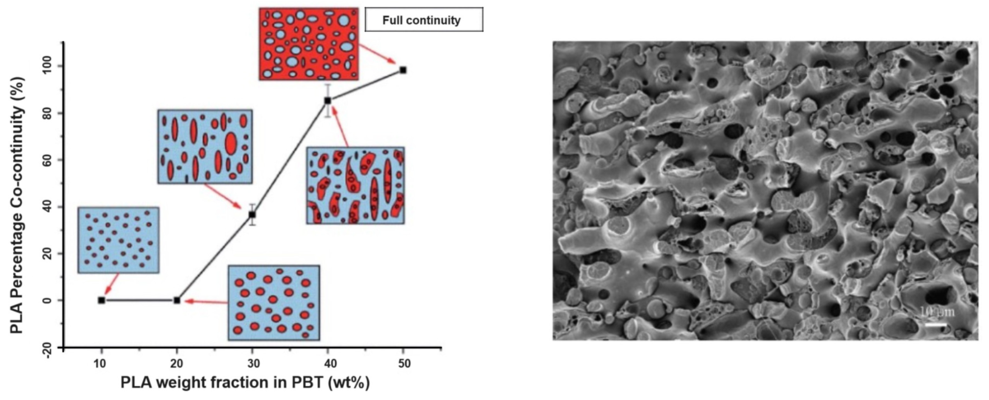 Polymers | Free Full-Text | Morphologies, Compatibilization and ...