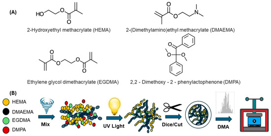 Influence of High Strain Dynamic Loading on HEMA–DMAEMA Hydrogel ...