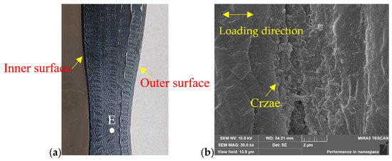 Investigation of Creep Behavior of HDPE Pipe Butt Fusion Welded Joints ...