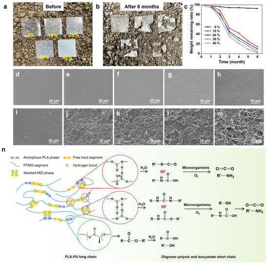 Biodegradable Polyurethane Derived from Hydroxylated Polylactide with ...