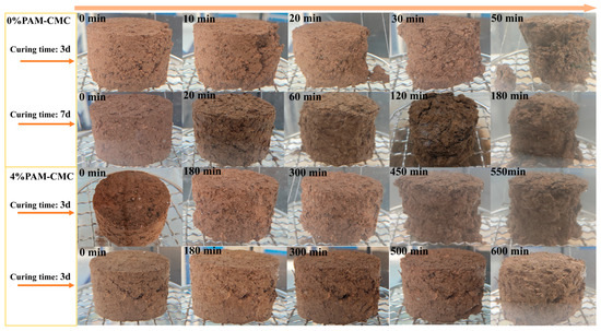 Application of New Polymer Soil Amendment in Ecological Restoration of ...