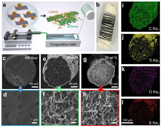 Knitting Elastic Conductive Fibers of MXene/Natural Rubber for ...