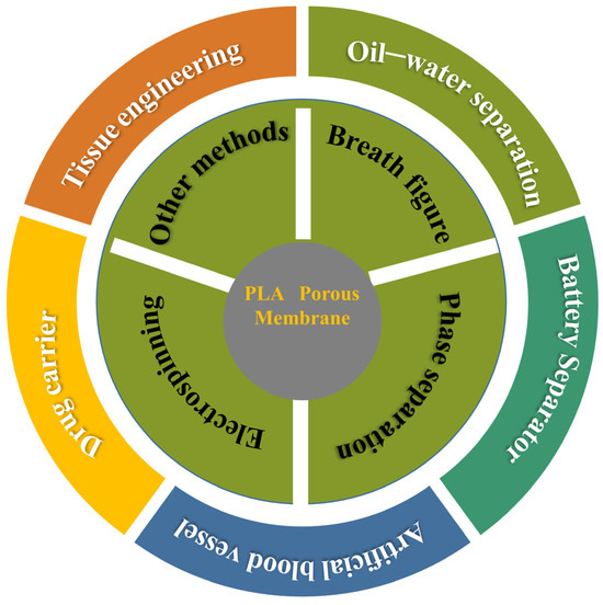 Preparation Method and Application of Porous Poly(lactic acid ...