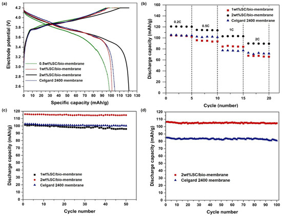 Preparation Method and Application of Porous Poly(lactic acid ...
