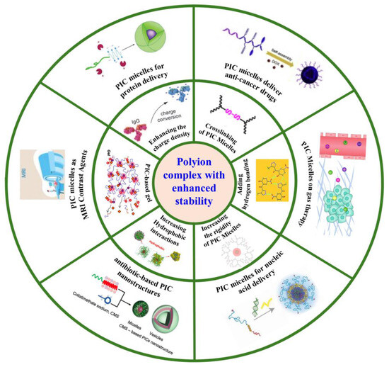Recent Progress in Polyion Complex Nanoparticles with Enhanced ...