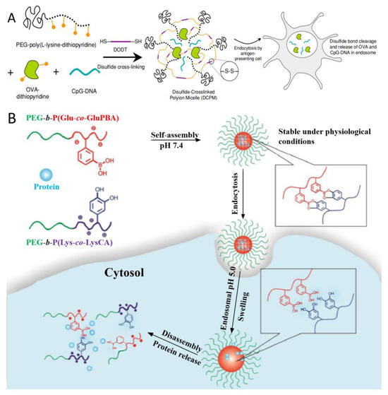 Recent Progress in Polyion Complex Nanoparticles with Enhanced ...