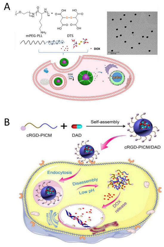 Recent Progress in Polyion Complex Nanoparticles with Enhanced ...