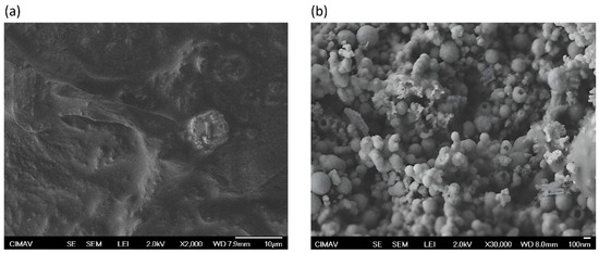 Formation of Olive-like TiO2 Nanospheres in a Polymeric Mesh by Sol-Gel ...