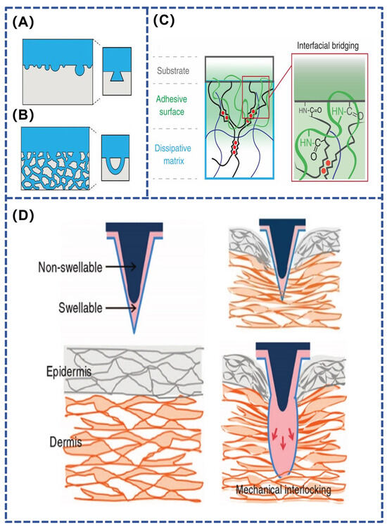 Principles and Design of Bionic Hydrogel Adhesives for Skin Wound Treatment