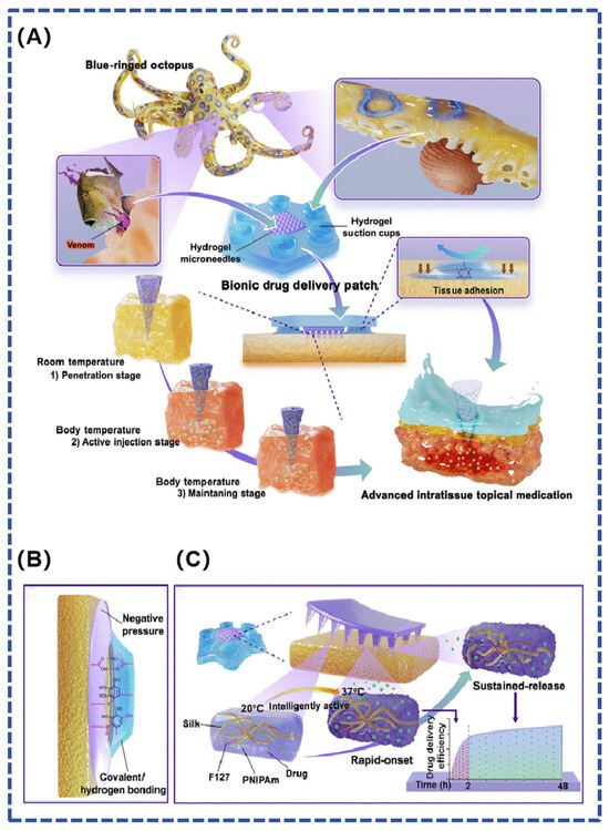 Principles and Design of Bionic Hydrogel Adhesives for Skin Wound Treatment