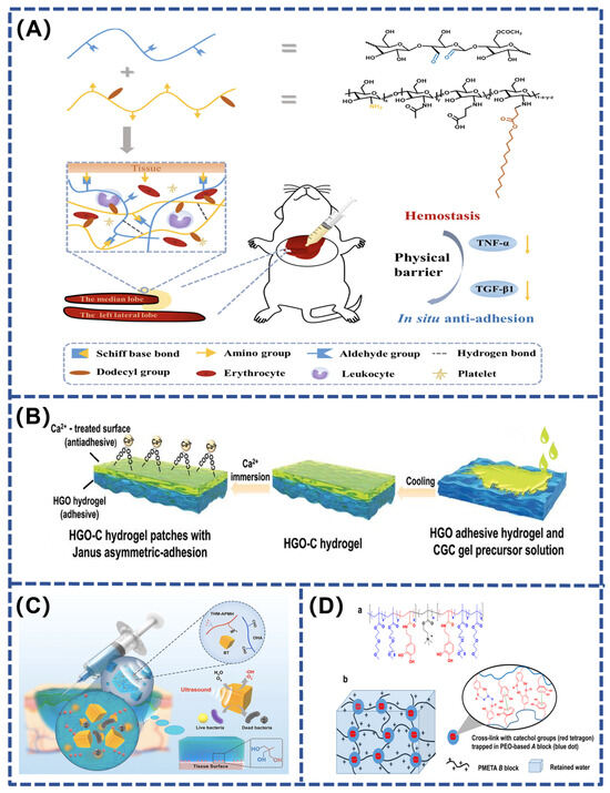 Principles and Design of Bionic Hydrogel Adhesives for Skin Wound Treatment