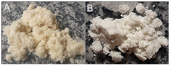 Effect of Glycerol and Sisal Nanofiber Content on the Tensile ...