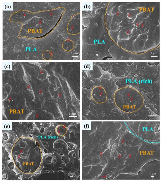 Fabrication and Characterization of PLA/PBAT Blends, Blend-Based ...