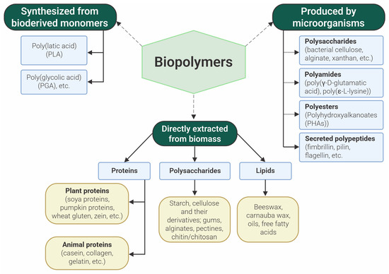 Application of Natural Functional Additives for Improving Bioactivity ...