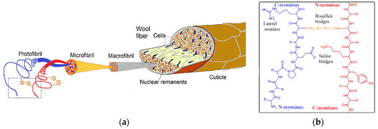 Keratin from Animal By-Products: Structure, Characterization ...