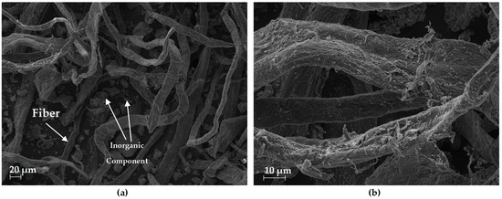 Development of PLA–Waste Paper Biocomposites with High Cellulose Content
