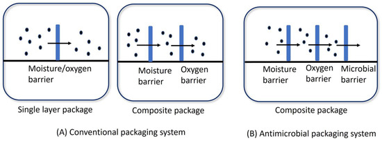 An Overview of Advanced Antimicrobial Food Packaging: Emphasizing ...