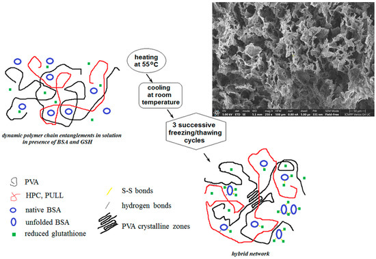 Recent Advances in Poly(vinyl alcohol)-Based Hydrogels