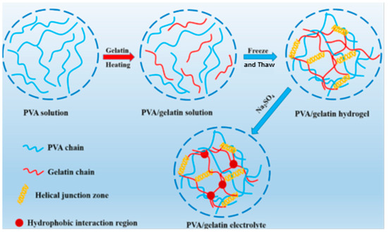 Recent Advances in Poly(vinyl alcohol)-Based Hydrogels