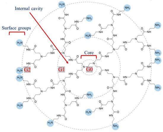 Polyamidoamine Dendrimers: Brain-Targeted Drug Delivery Systems in ...