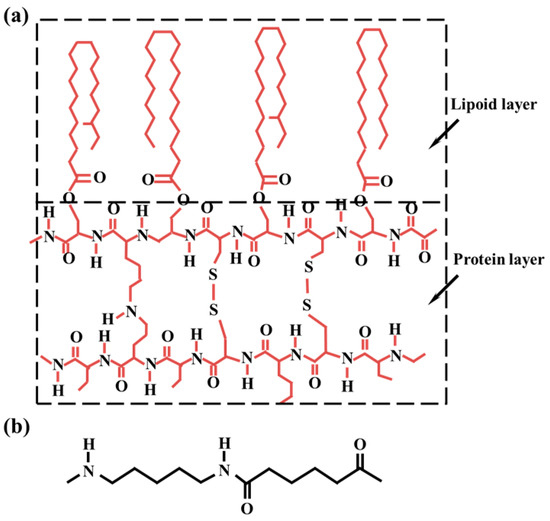 Highly Soft, Abrasion-Resistant, and Moisture-Absorbent Wool/PA56 ...