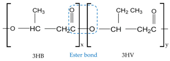 Degradation of Poly(3-hydroxybutyrate-co-3-hydroxyvalerate) Reinforced ...