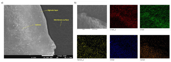Surface Fouling Characterization Methods for Polymeric Membranes Using ...