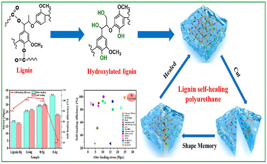 Polymers | Free Full-Text | Recent Advances in the Preparation and Application of Bio-Based ...