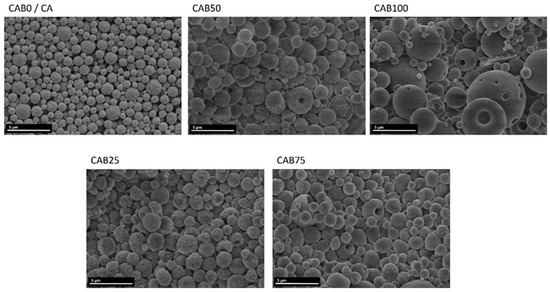 Synthesis of Cellulose Acetate Butyrate Microspheres as Precursor for ...